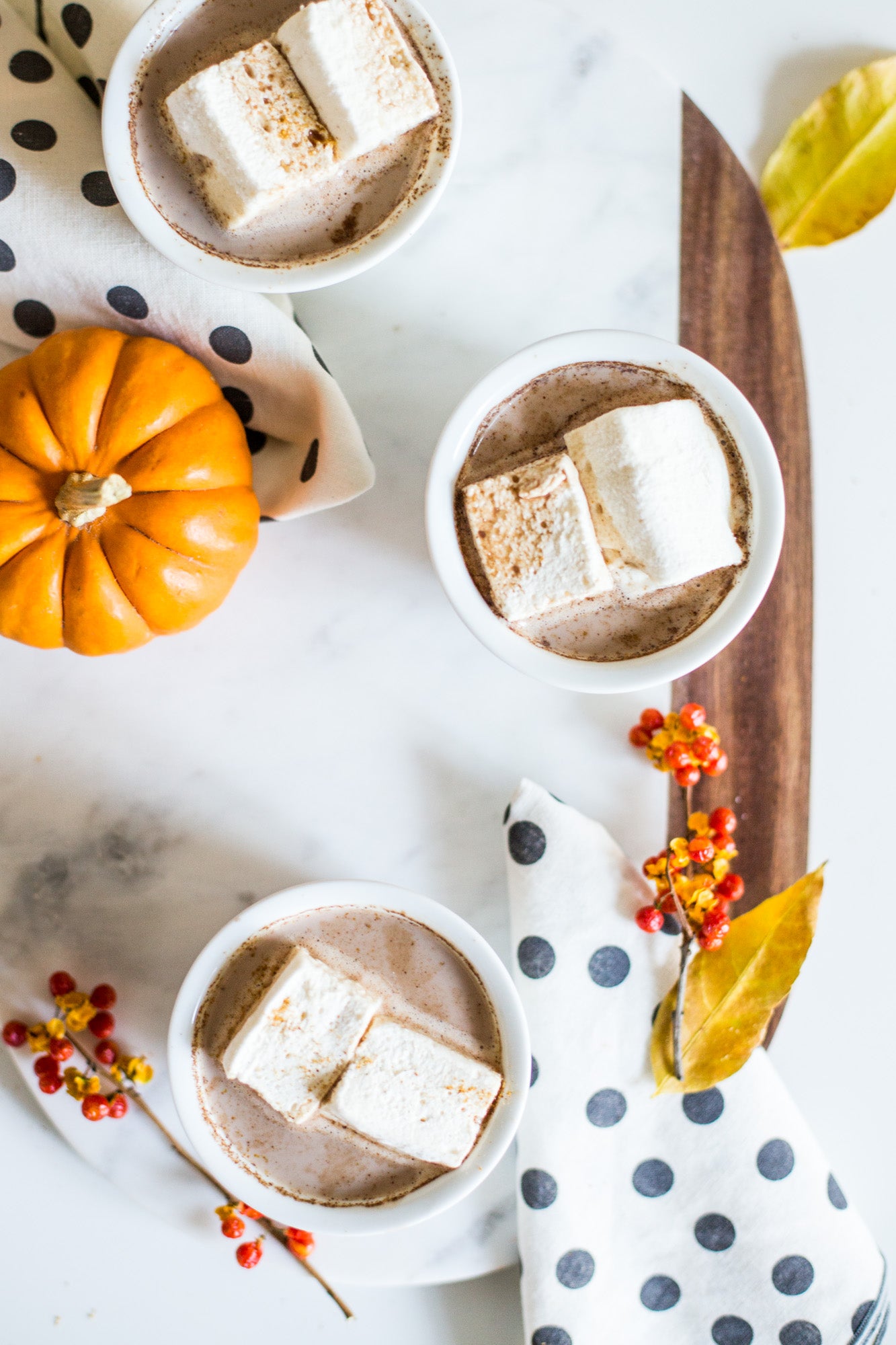 Cayenne Cinnamon Hot Cocoa